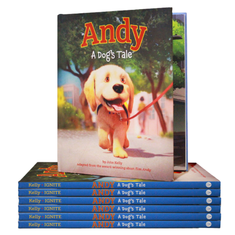 theandyfilm.com